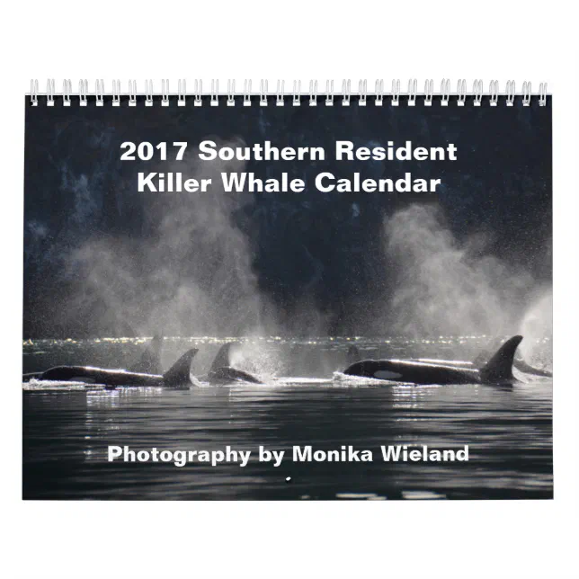 2017 Southern Resident Killer Whale Calendar | Zazzle