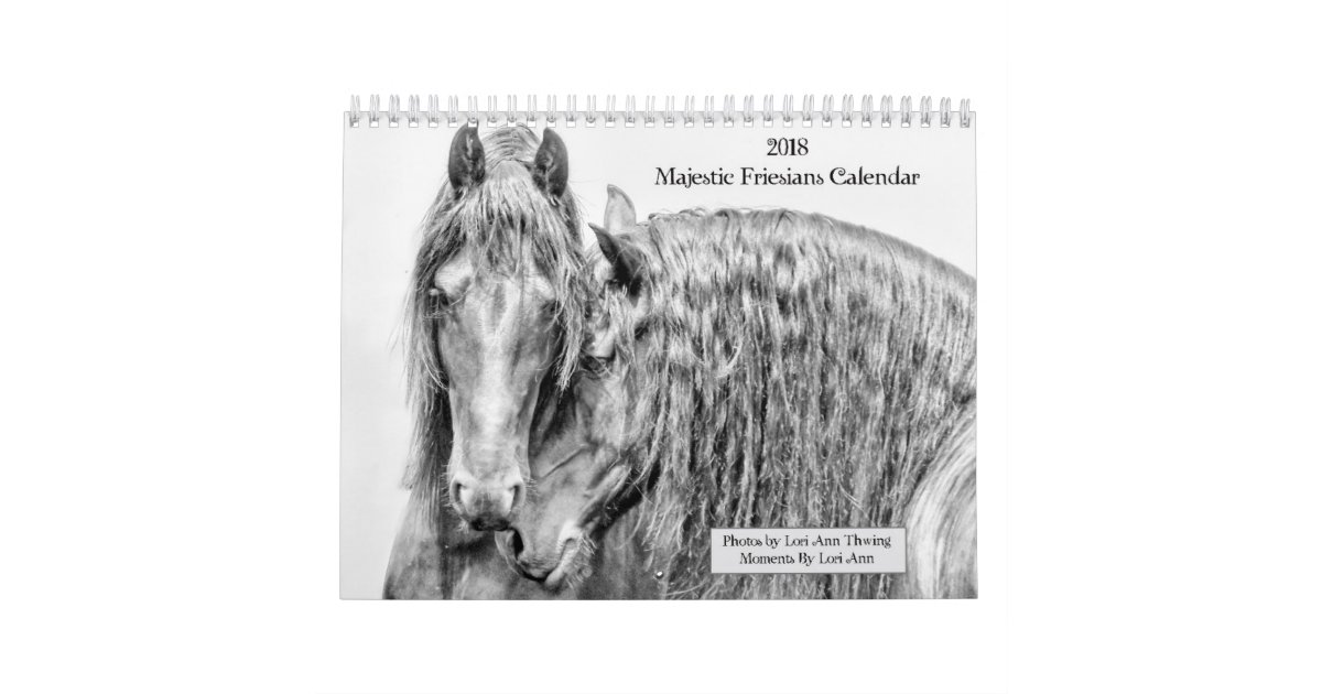 2018 Majestic Friesians Calendar | Zazzle