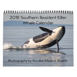 Orca Watcher: J2 Granny ~ Celebrating 100 Years