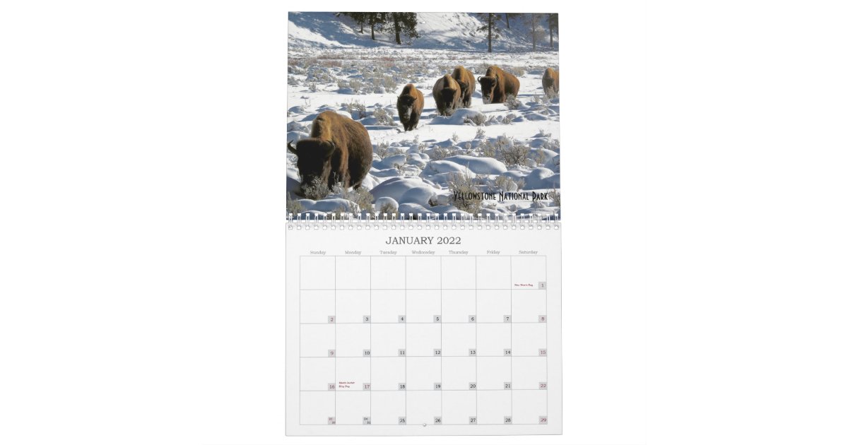 2019 US Public Lands Wildlife Calendar | Zazzle.com