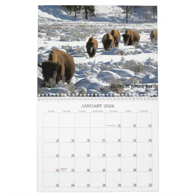 2019 US Public Lands Wildlife Calendar | Zazzle