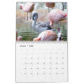 2019 Zoo Animals Calendar | Zazzle