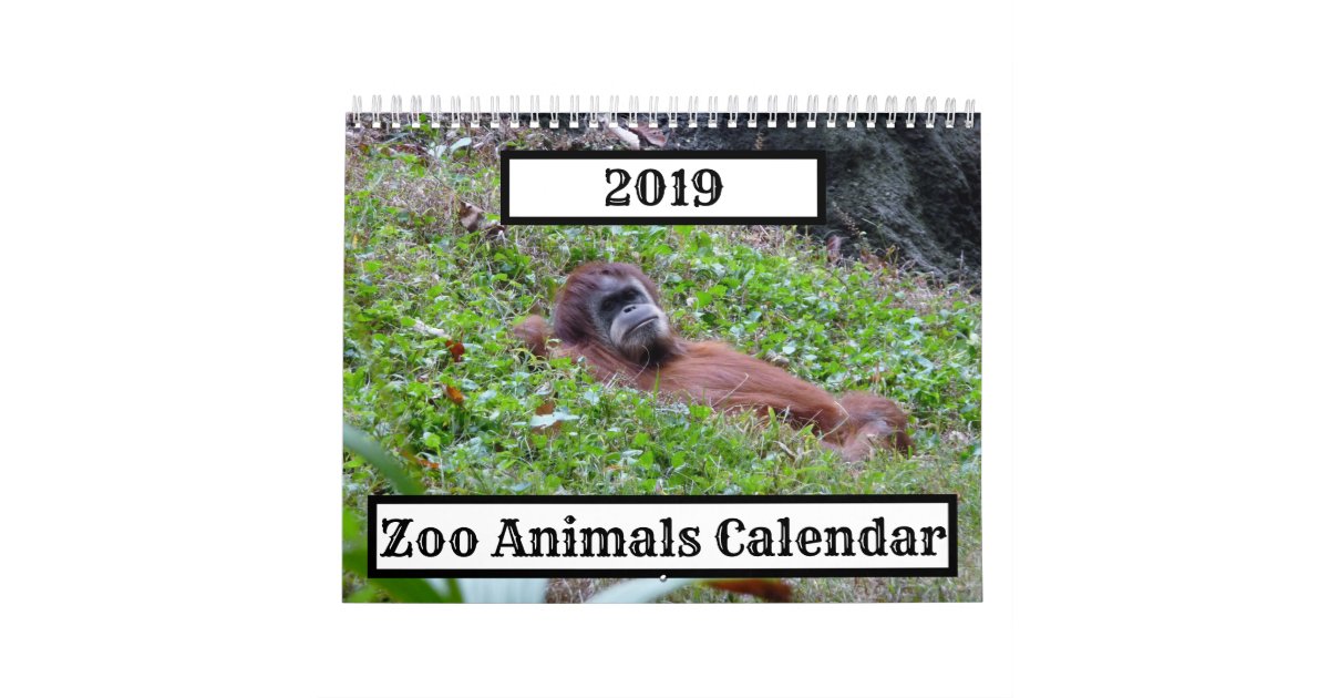 2019 Zoo Animals Calendar | Zazzle