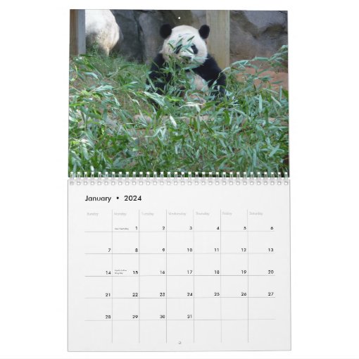 2019 Zoo Animals Calendar | Zazzle