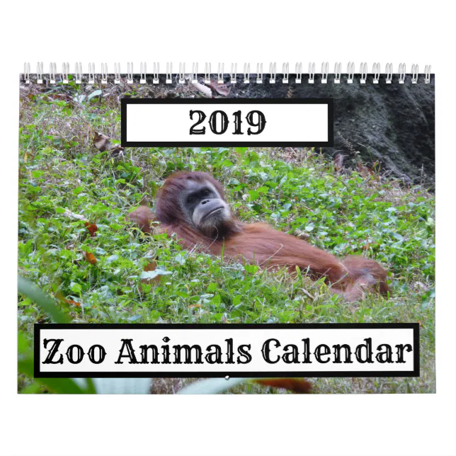 2019 Zoo Animals Calendar | Zazzle