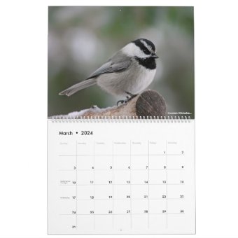2020 Annual Nature and Wildlife Calendar... Calendar | Zazzle