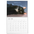 2020 Calendar - All about cats! | Zazzle