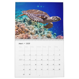 2020 Custom Calendar | Zazzle