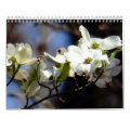 2020 Custom Calendar | Zazzle