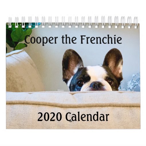 2020 French Bulldog Calendar - Cooper the Frenchie | Zazzle