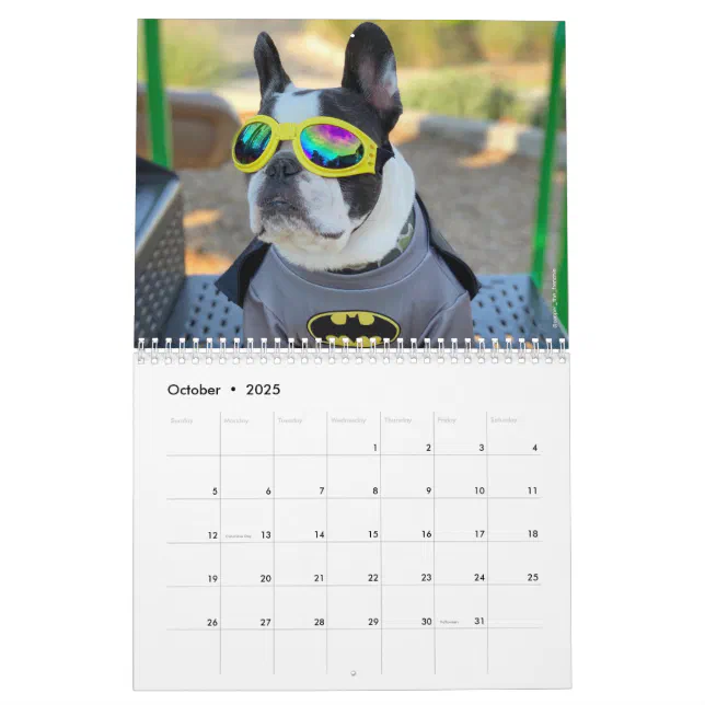 2020 French Bulldog Calendar for Dog Lovers! | Zazzle