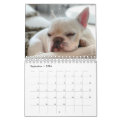 2020 French Bulldog Calendar-Fredrick the Frenchie Calendar | Zazzle
