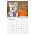 2020 French Bulldog Calendar-Fredrick the Frenchie Calendar | Zazzle