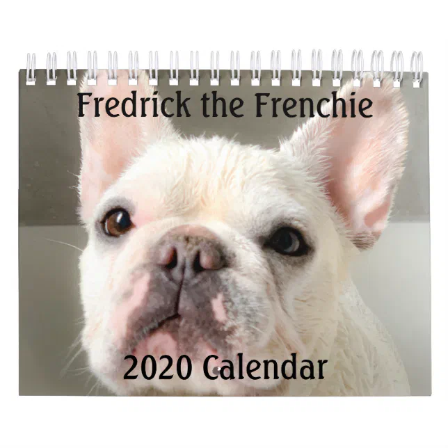 2020 French Bulldog Calendar-Fredrick the Frenchie Calendar | Zazzle
