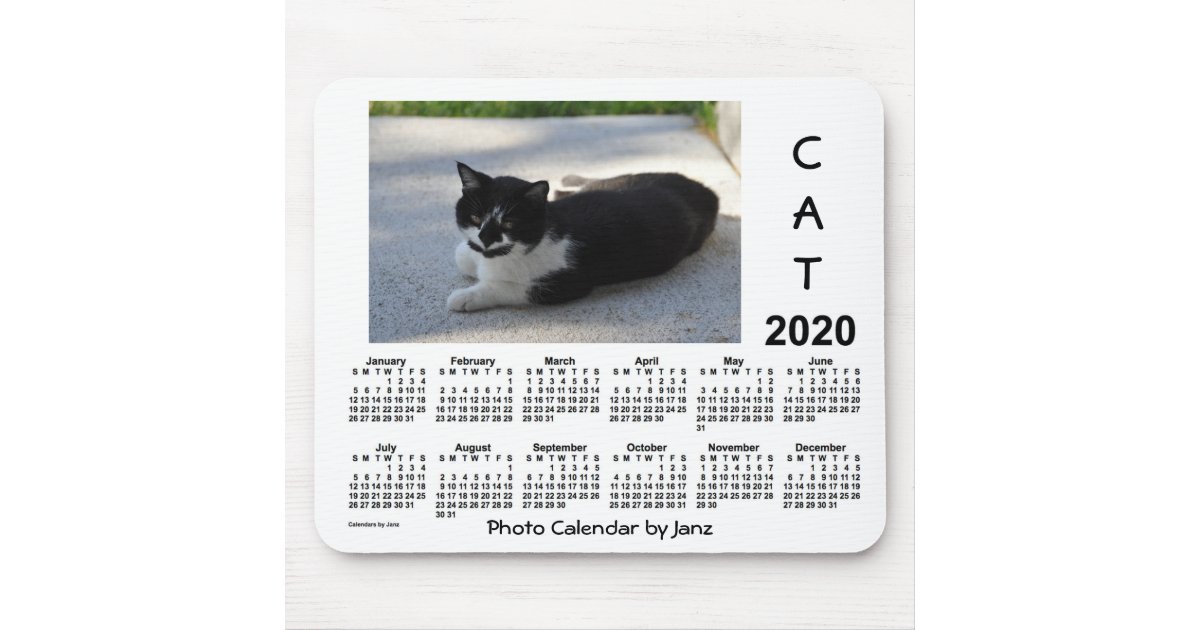 2020 Sassy Cat Photo Calendar by Janz Mouse Pad | Zazzle