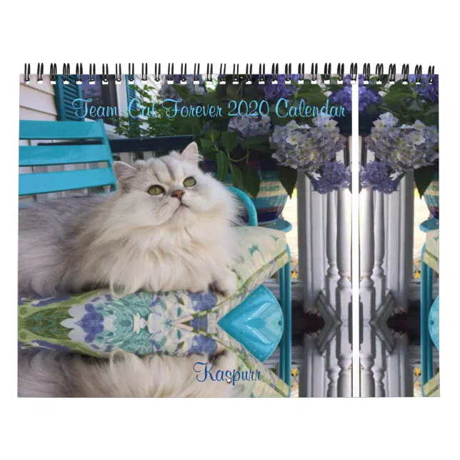 2020 Team iCat Forever Calendar | Zazzle