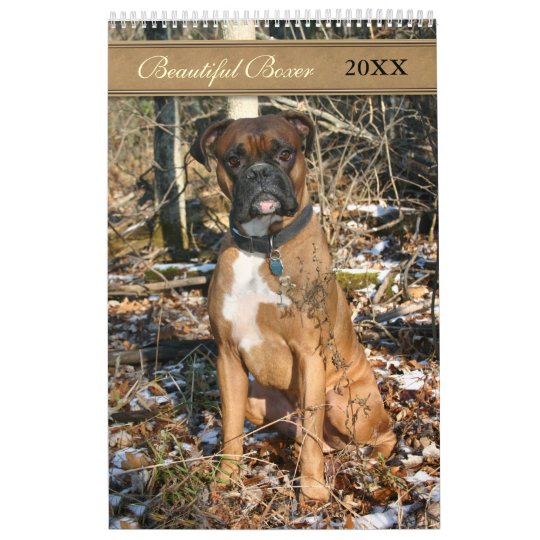 2021 Beautiful Boxer Dog Calendar | Zazzle.com