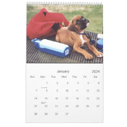2021 Beautiful Boxer Dog Calendar | Zazzle