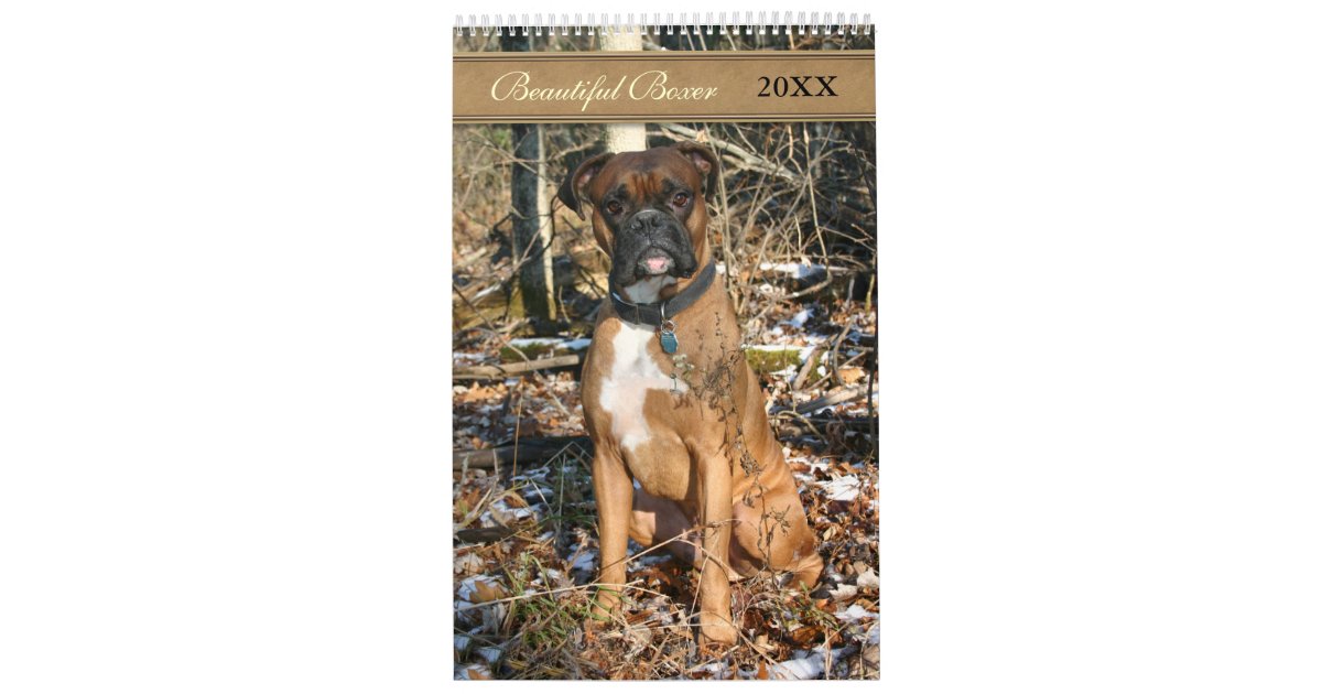 2021 Beautiful Boxer Dog Calendar | Zazzle
