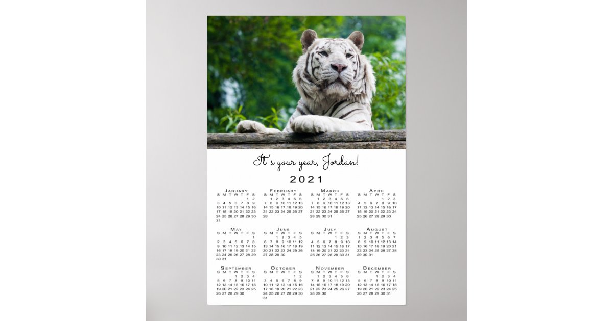 2021 Calendar Custom White Tiger Photo Name Text Poster | Zazzle