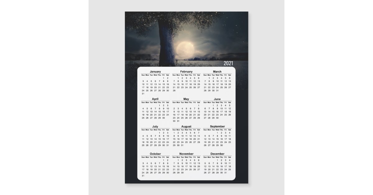 2021 Calendar Magic Tree Full Moon | Zazzle