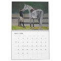 2021 Horse Art Calendar by Charlotte Yealey | Zazzle