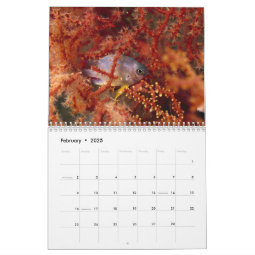 2021 Marine Fish and Sea Life Calendar | Zazzle
