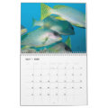 2021 Marine Fish and Sea Life Calendar | Zazzle