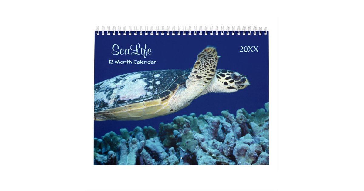 2021 Marine Fish and Sea Life Calendar | Zazzle