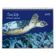 2021 Marine Fish and Sea Life Calendar | Zazzle