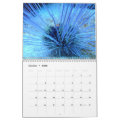 2021 Marine Fish and Sea Life Calendar | Zazzle