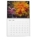 2021 Marine Fish and Sea Life Calendar | Zazzle