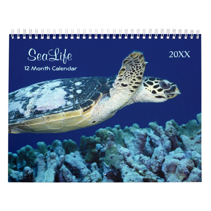 2021 Marine Fish and Sea Life Calendar | Zazzle.com