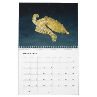 2021 Marine Fish and Sea Life Calendar | Zazzle