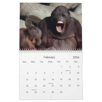 2021 Primates Wildlife Photography Calendar | Zazzle