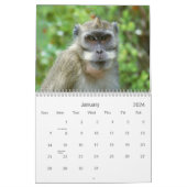 2021 Primates Wildlife Photography Calendar | Zazzle