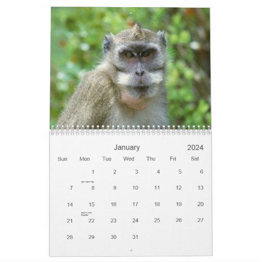 2021 Primates Wildlife Photography Calendar | Zazzle