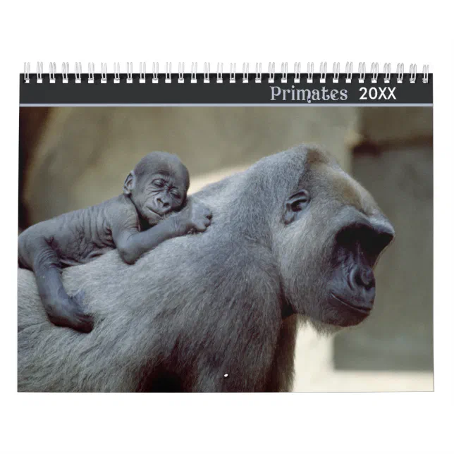 2021 Primates Wildlife Photography Calendar | Zazzle
