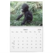 2021 Primates Wildlife Photography Calendar | Zazzle
