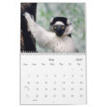 2021 Primates Wildlife Photography Calendar | Zazzle