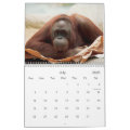 2021 Primates Wildlife Photography Calendar | Zazzle