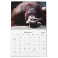 2021 Primates Wildlife Photography Calendar | Zazzle