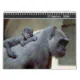 2021 Primates Wildlife Photography Calendar | Zazzle