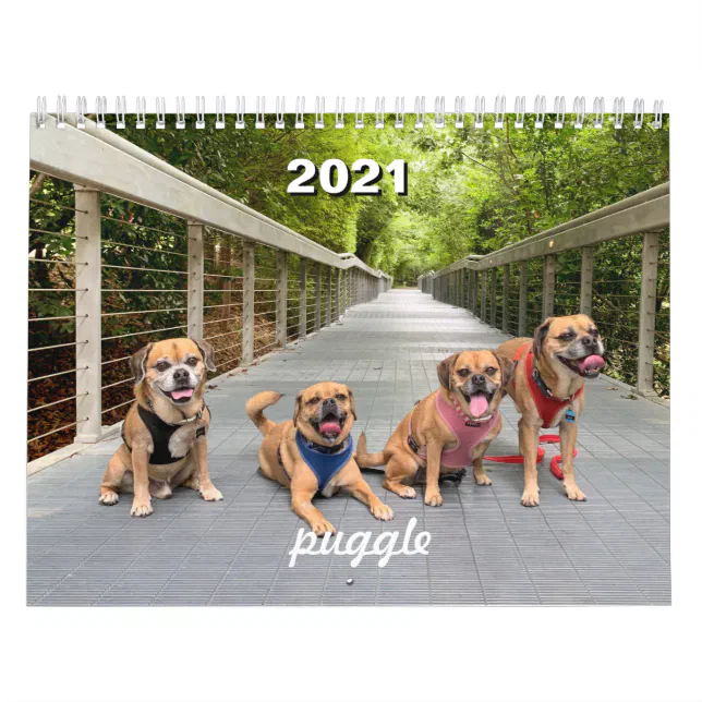 2021 Puggle Calendar | Zazzle