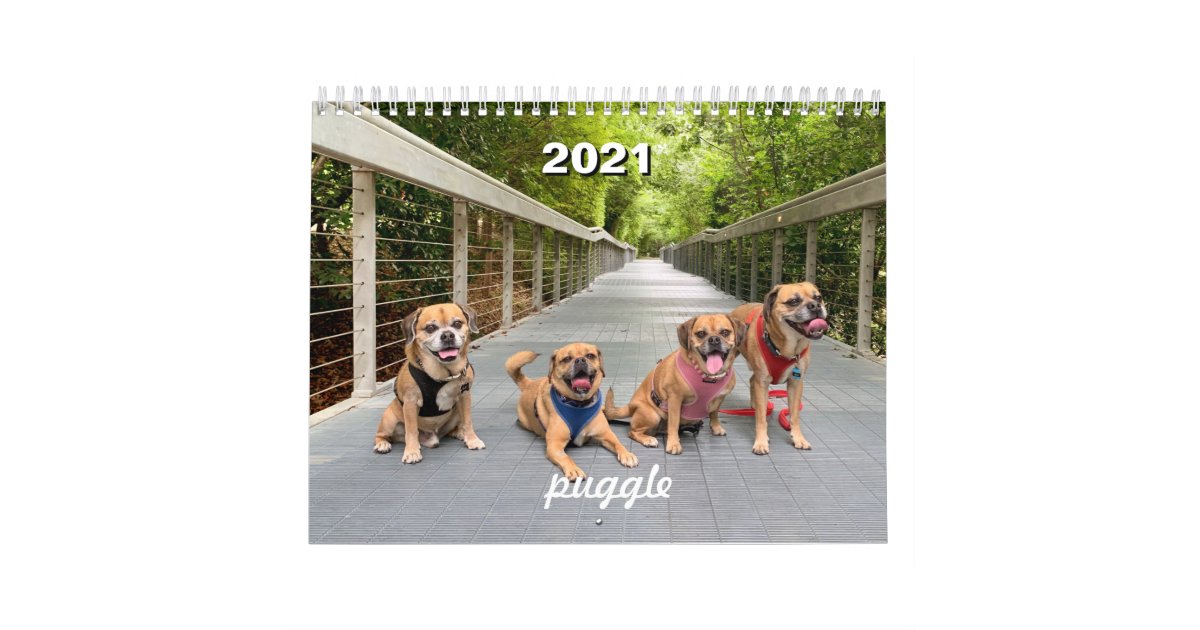 2021 Puggle Calendar | Zazzle