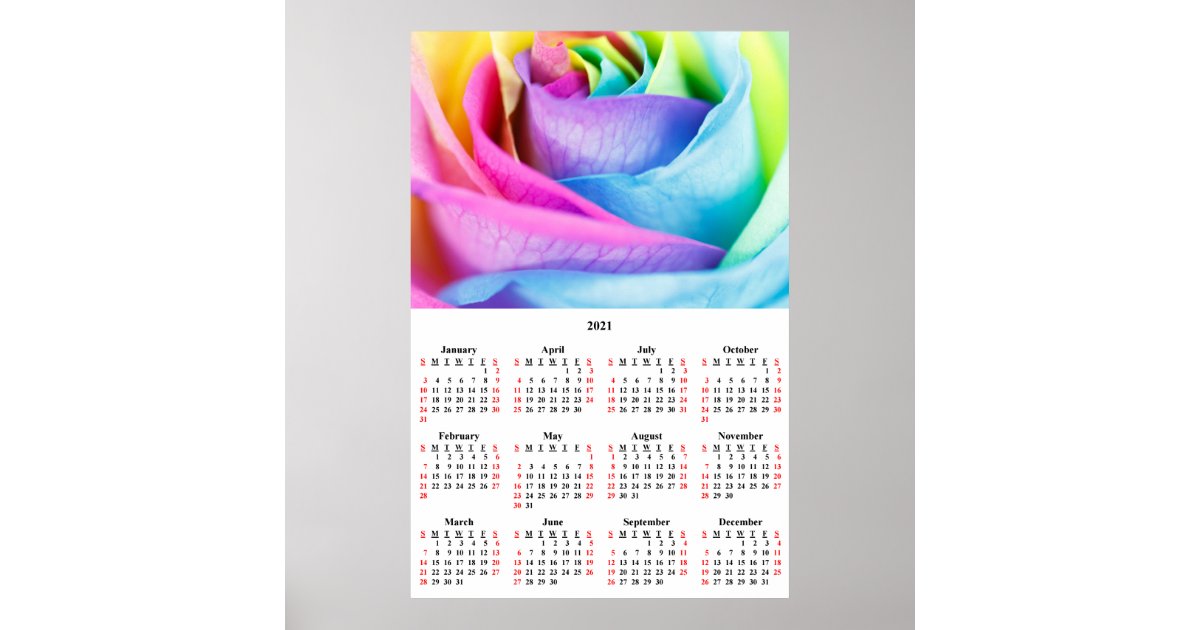 2021 Wall Calendar Rainbow Rose Poster | Zazzle