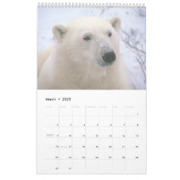 2021 Wildlife Treasures Wall Calendar | Zazzle
