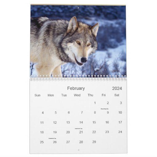2021 Wolves Wildlife Calendar | Zazzle