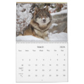 2021 Wolves Wildlife Calendar | Zazzle