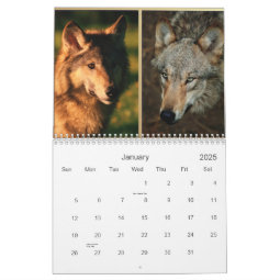 2021 Wolves Wildlife Calendar | Zazzle